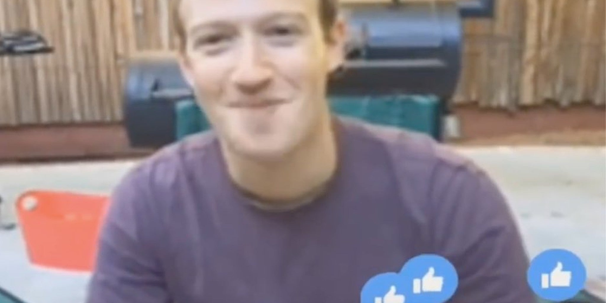 Mark Zuckerberg Wants to Understand the 'Zucc' Meme Mark Zuckerberg Wants to Understand the 'Zucc' Meme