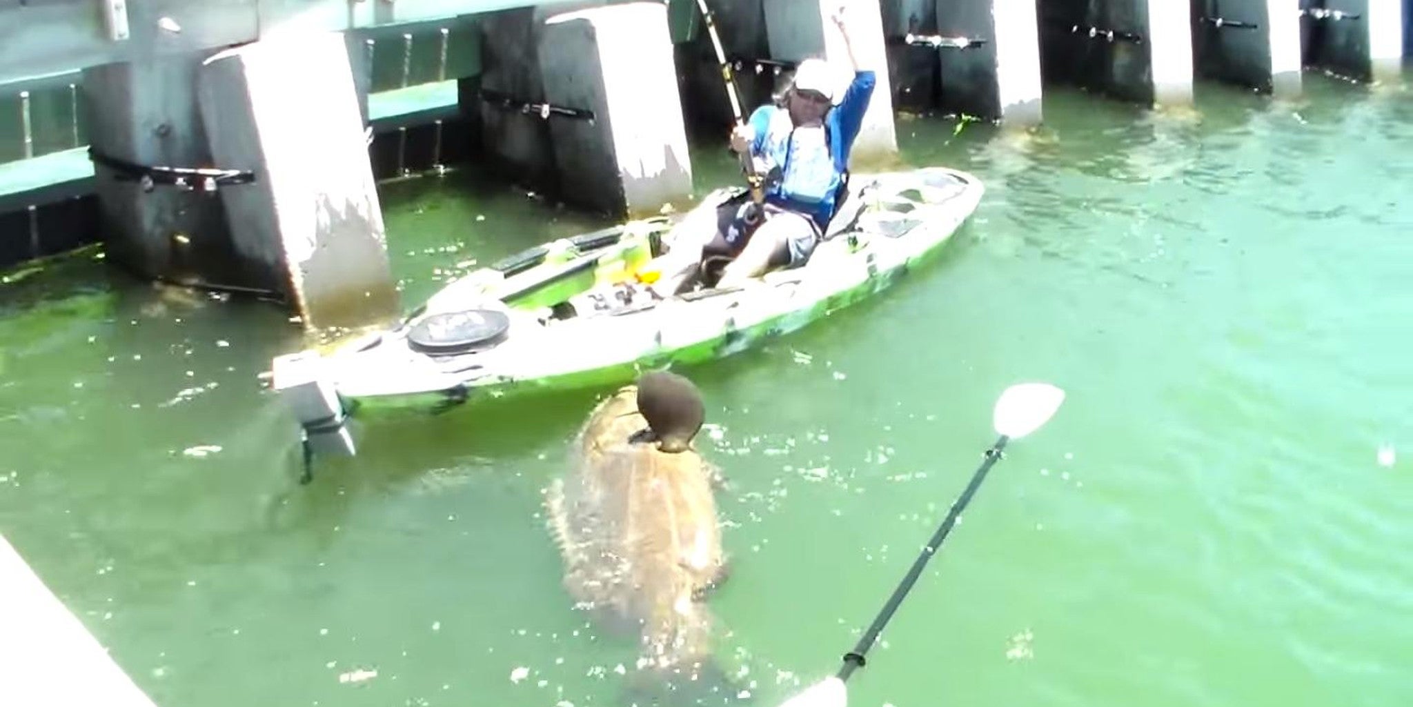 Fisherman has the fight of his life with 552-pound goliath grouper