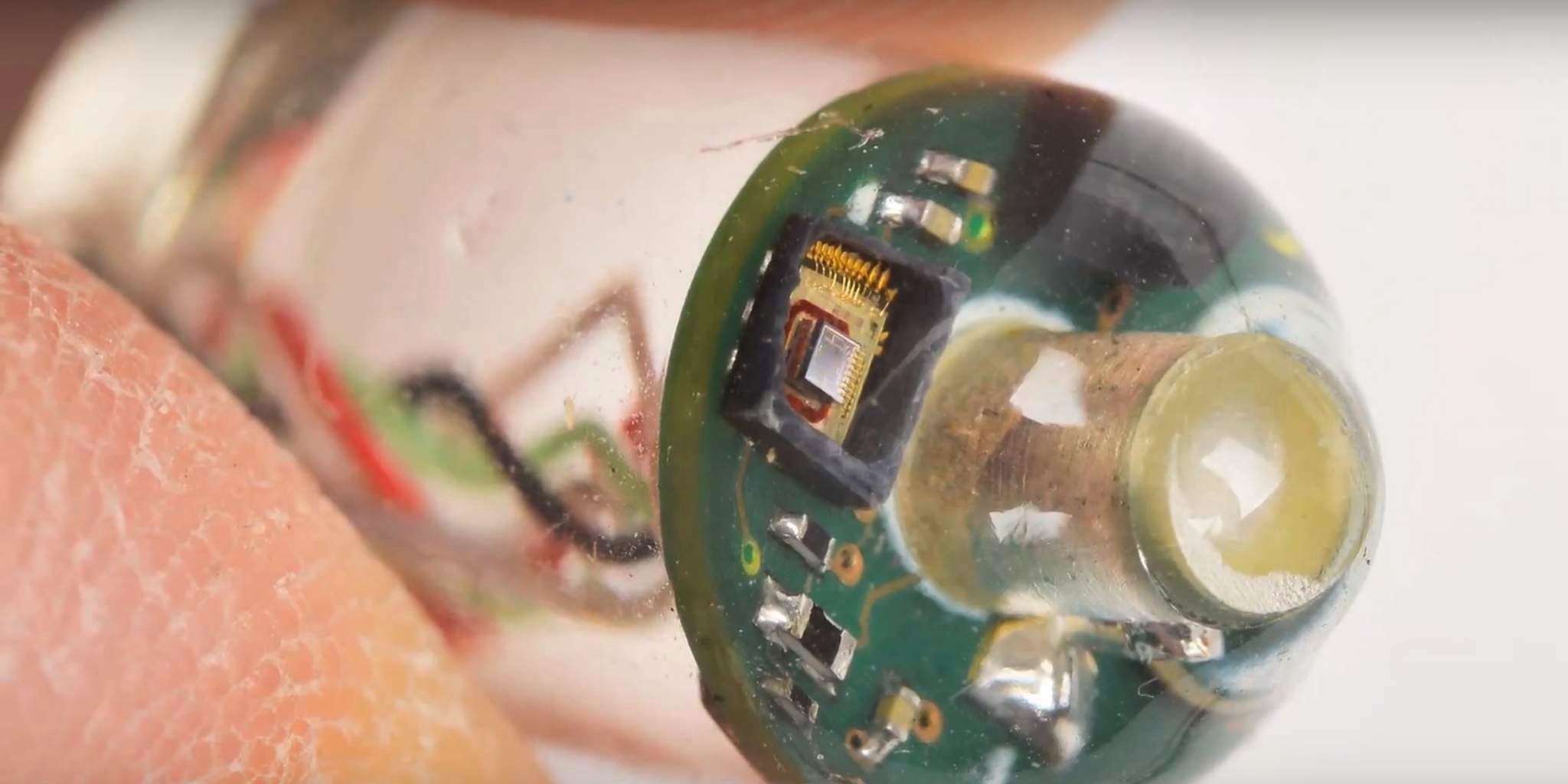 This health tracker isn't a wearable—it's a swallowable