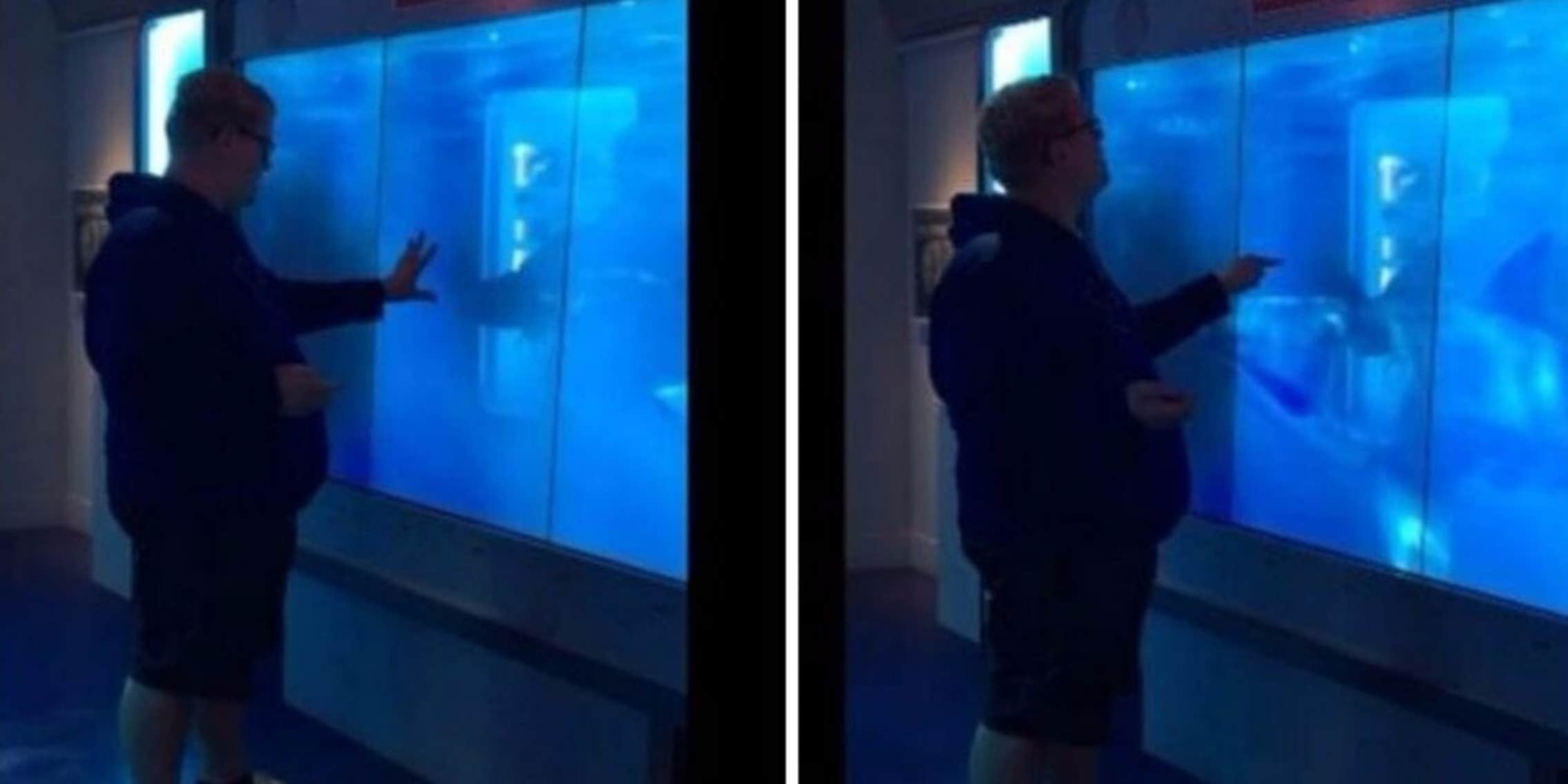 International Spy Museum’s Virtual Shark Tank Causes Scares for Patrons